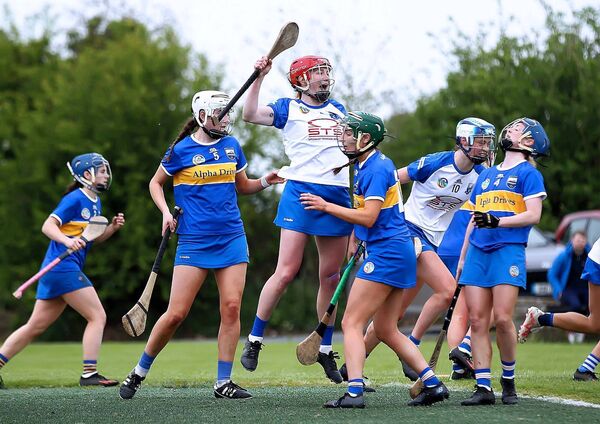Golden day for Déise camogie - GAA - Waterford News & Star