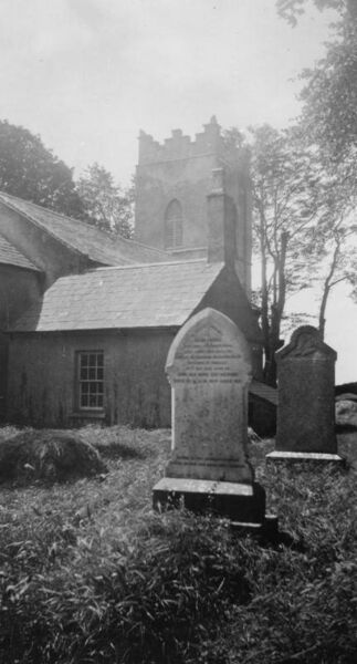 Local Notes: Market treats, sporting success and more from Stradbally ...