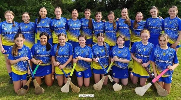 Local Notes: Camogie victory, GAA news, dinner dance, public meeting ...
